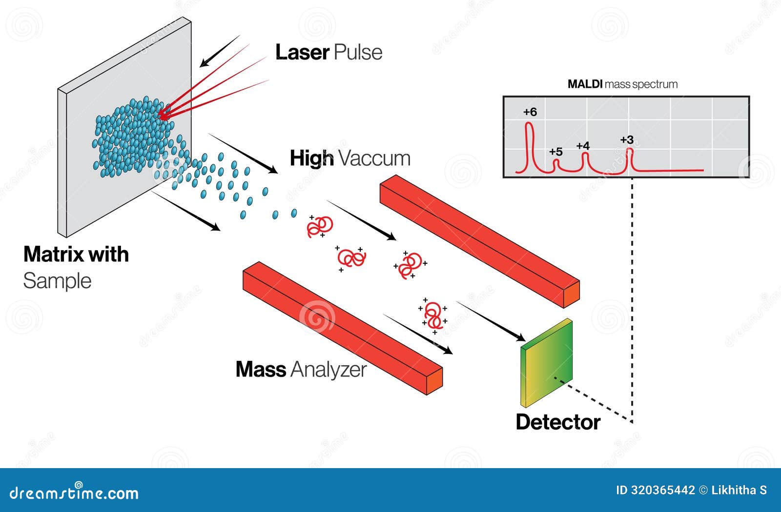 Matrix Assisted Laser Desorption Ionization MALDI Working Principle and ...