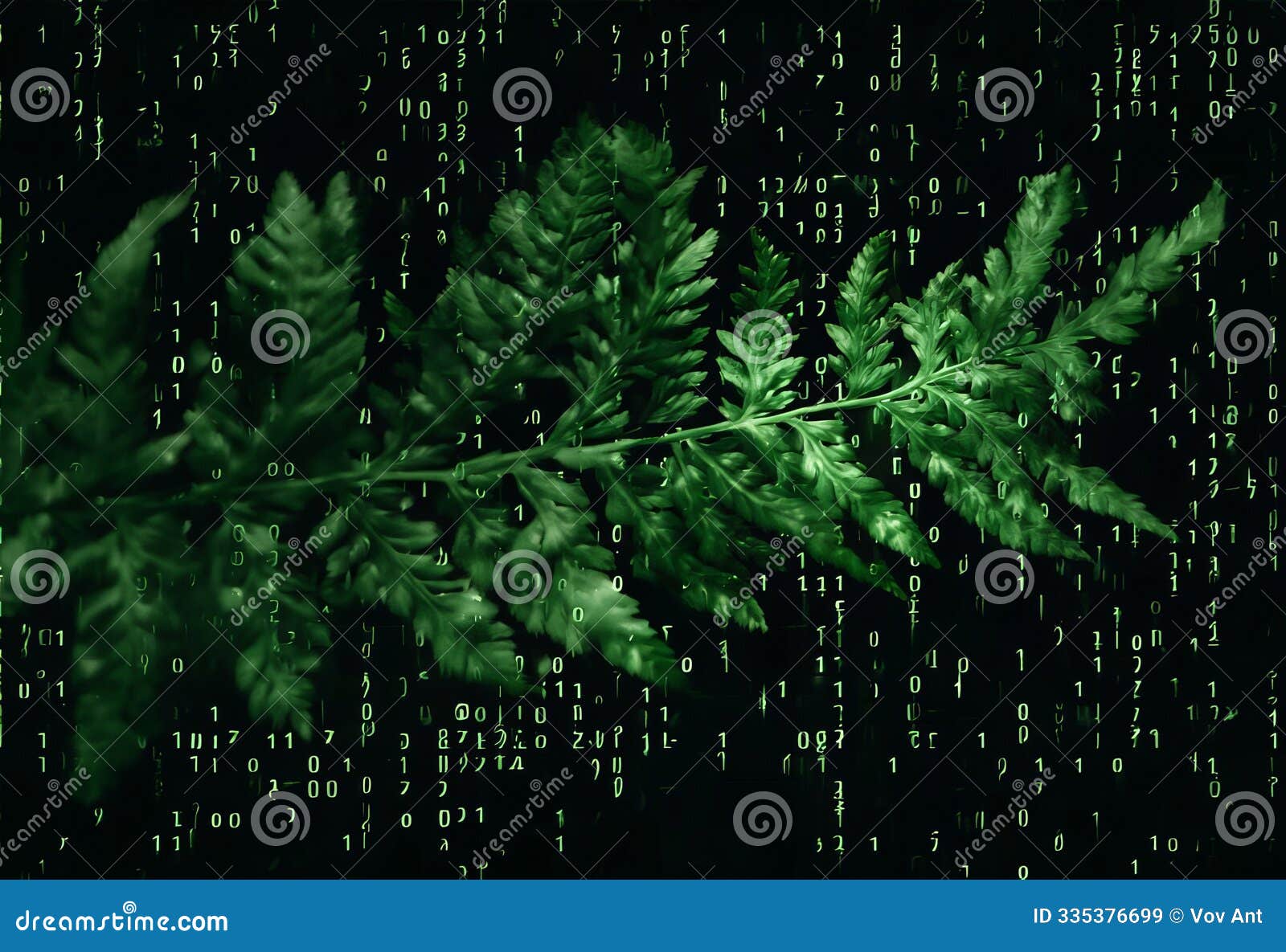Matrix Code a Close Up of a Fern Frond with the Leaves Transform Stock ...