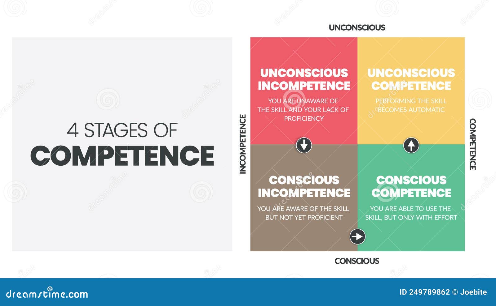 Matrix Diagram Of 4 Stages Of Competence Into A Vector Chart ...