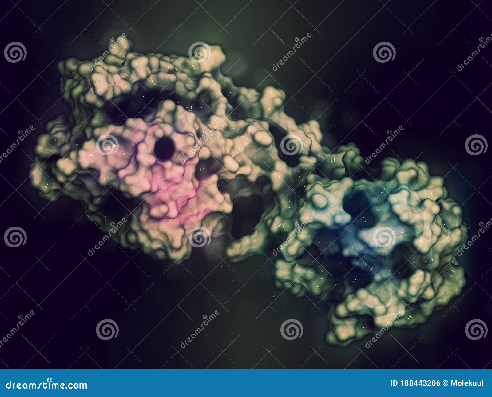 Matrix Metalloproteinase 12 MMP-12, Macrophage Elastase Enzyme. MMPs ...
