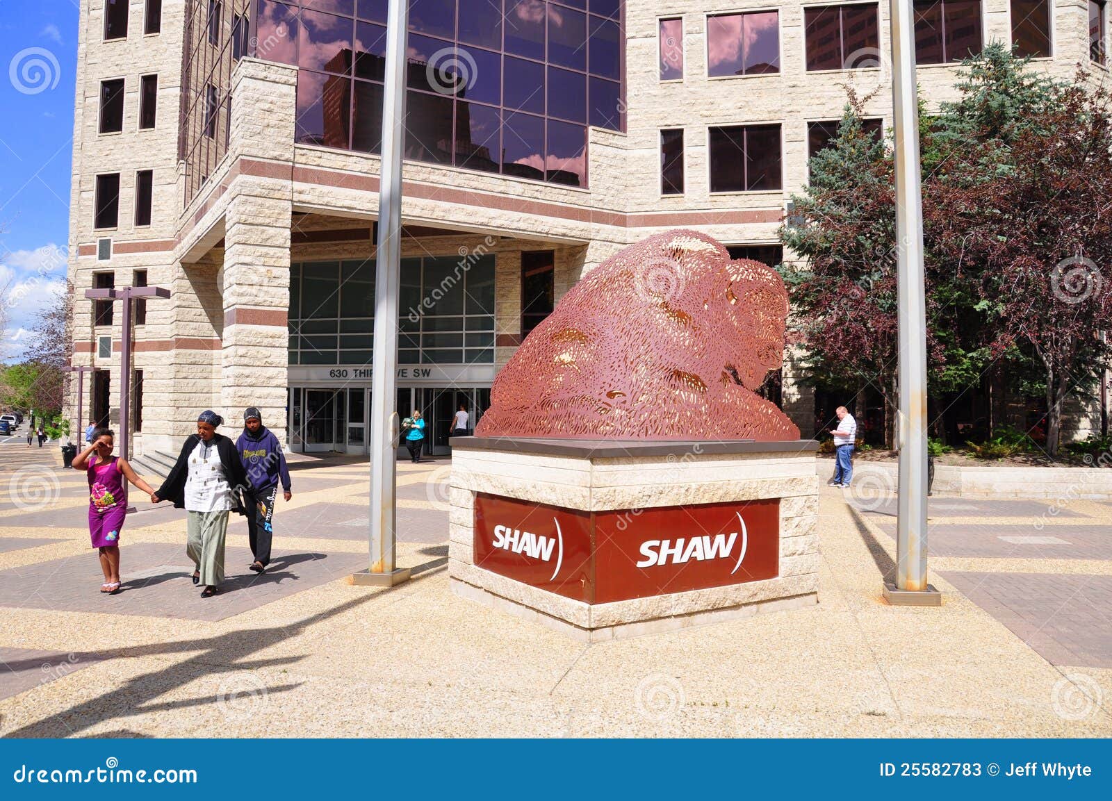 Matriz de Shaw foto de stock editorial. Imagem de incorporado - 25582783