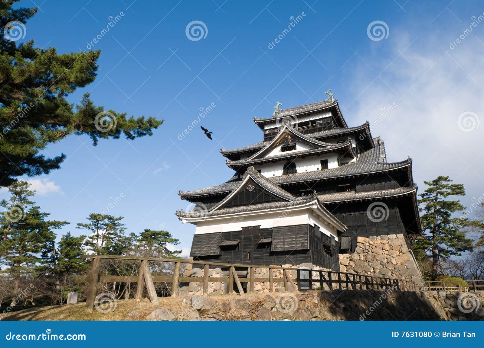 Matsue Castle stock photo. Image of resistance, trees - 7631080