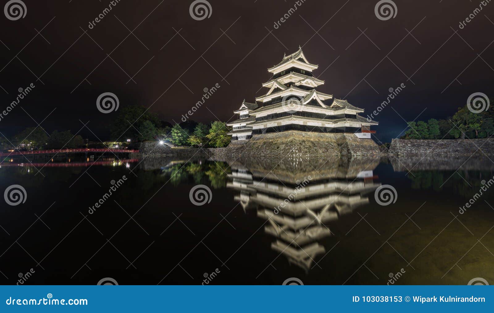 Reflection Of Matsumoto Castle With A Swan In Matsumoto, Nagano, Japan ...