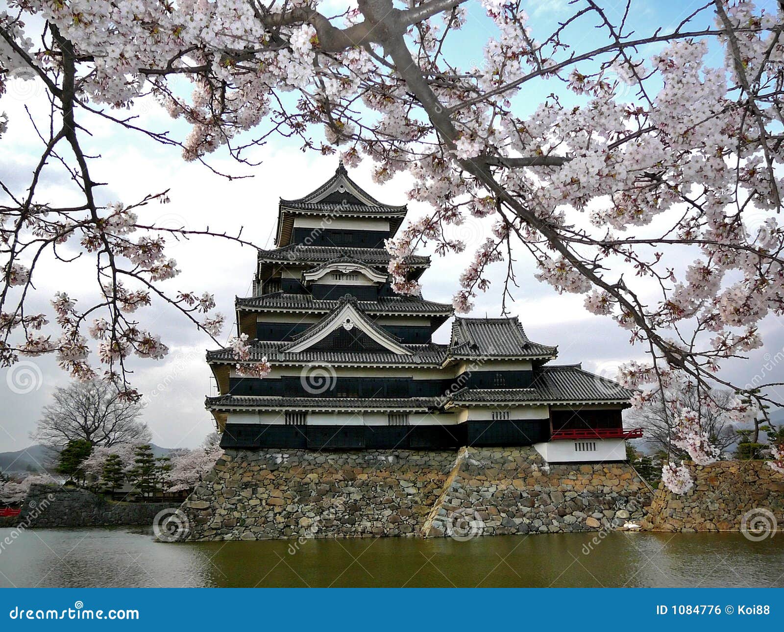 Matsumoto-Schloss Mit Kirschblüten Stockfoto - Bild von krähe, alpen ...