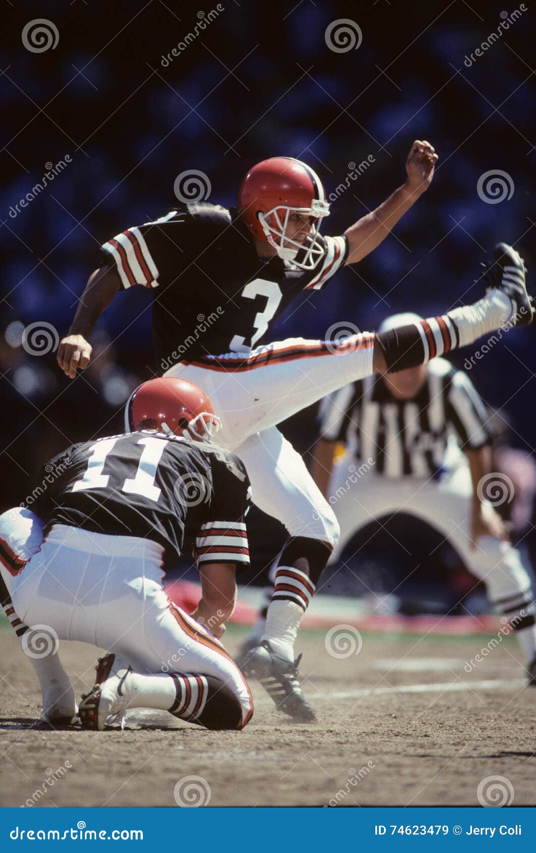 Matt Bahr imagen de archivo editorial. Imagen de naturalizado - 74623479