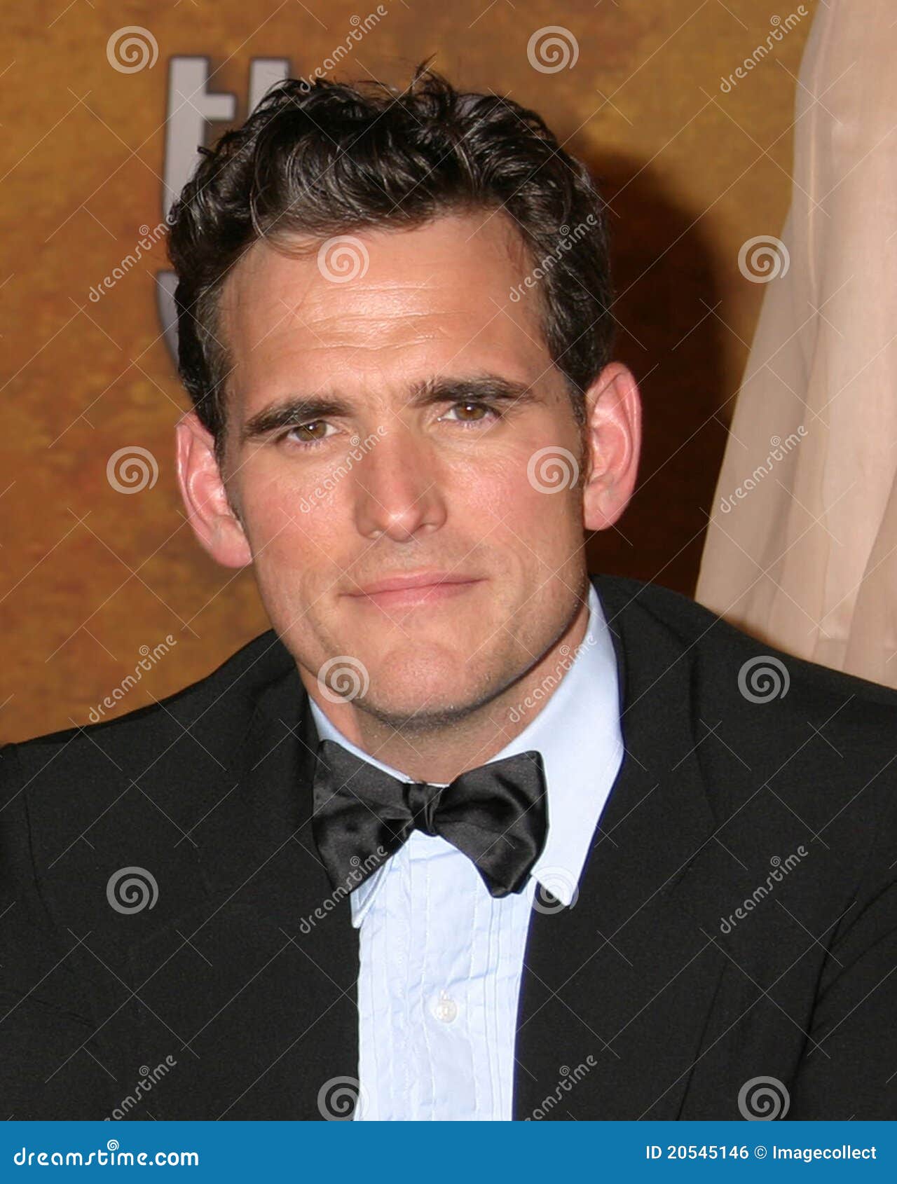 Matt Dillon editorial photo. Image of ryan, awards, january - 20545146
