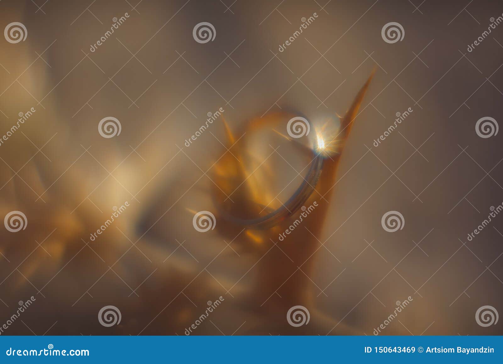 Matte Macro Golden Ring on the Tree Branch Stock Image - Image of gold ...