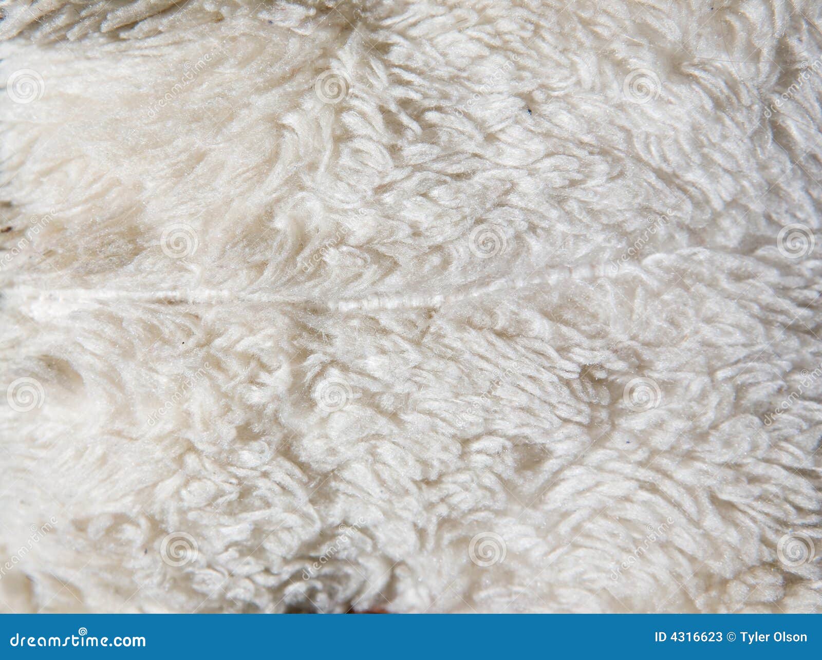 Matted Fun Fur stock image. Image of background, wool - 4316623