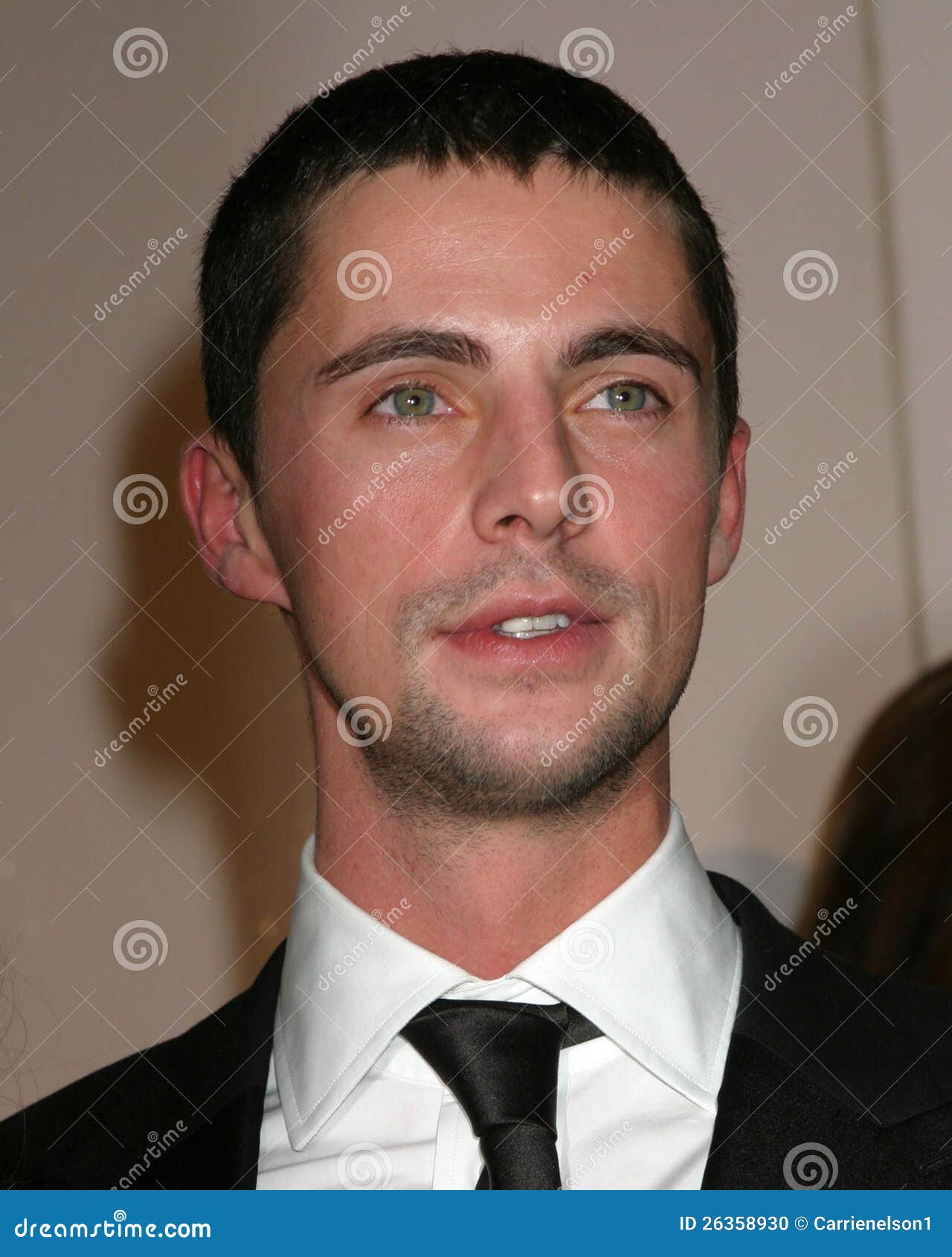 Matthew Goode editorial image. Image of goode, matthew - 26358930