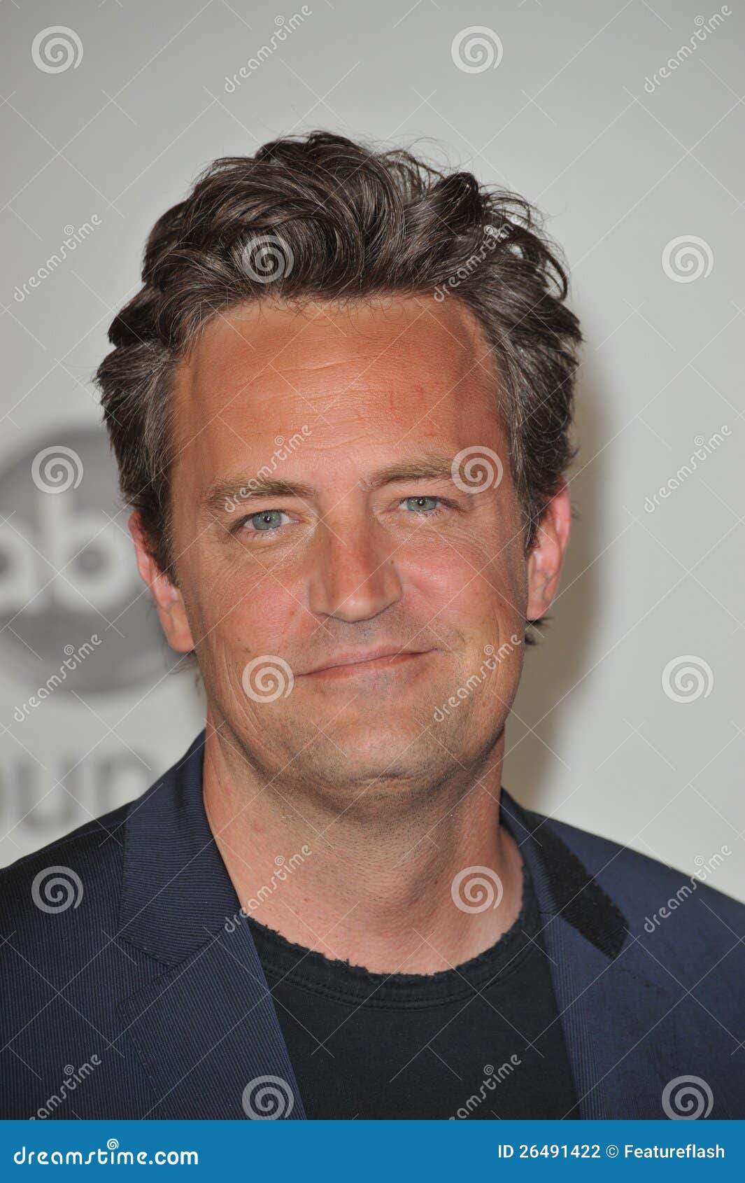 Matthew Perry On The Red Carpet Editorial Photo | CartoonDealer.com ...