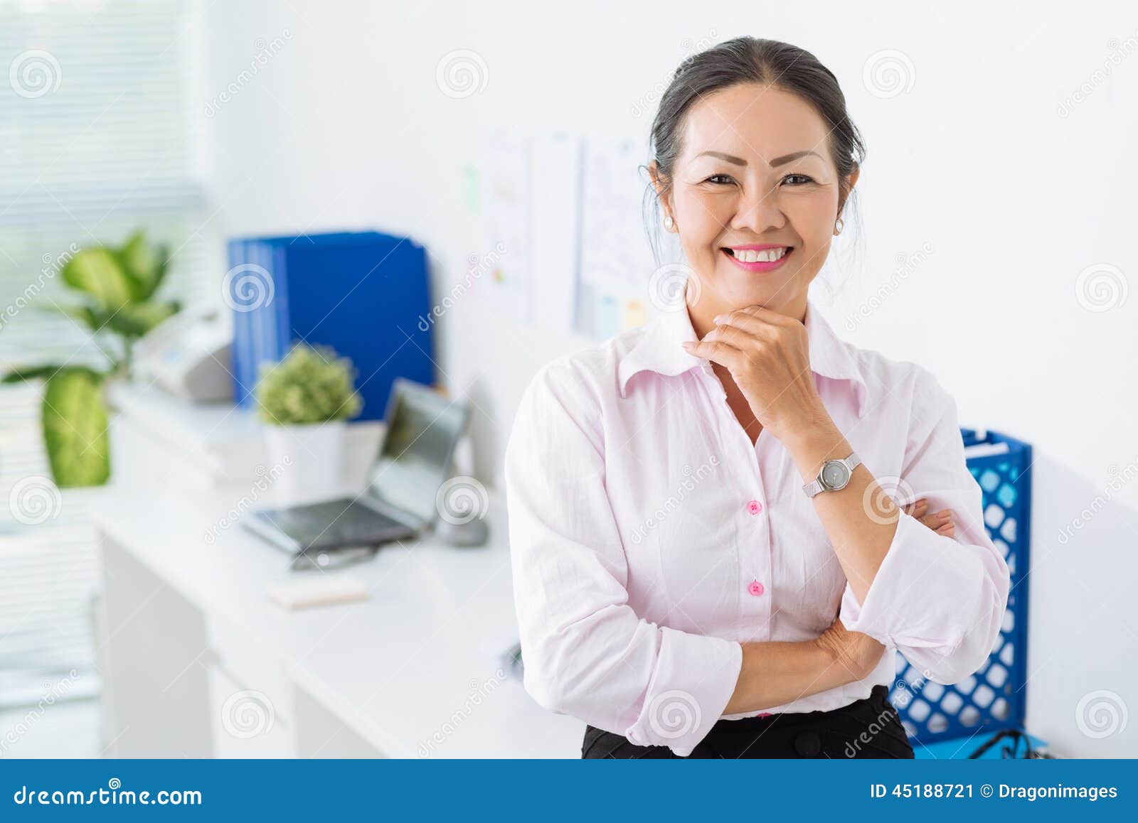 Mature business lady stock image. Image of confident - 45188721