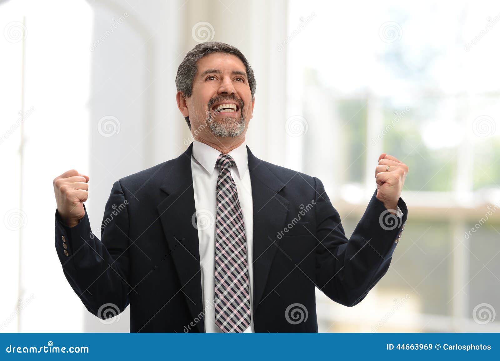 Mature Businessman Celebrating Stock Image - Image of success, business ...
