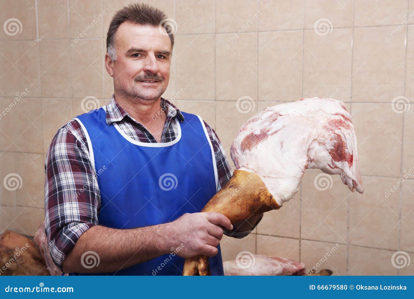 Mature butcher and meat stock photo. Image of healthy - 66679580