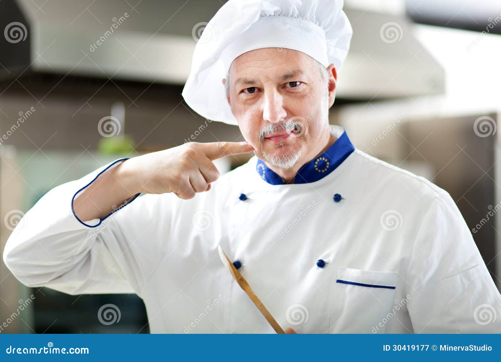 Mature chef portrait stock image. Image of happiness - 30419177