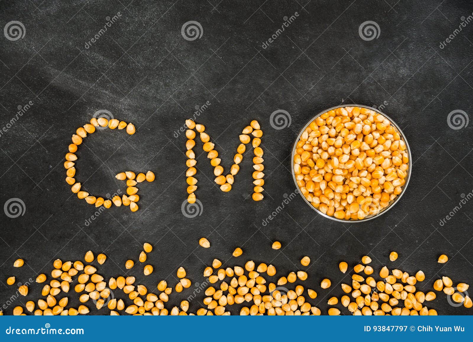 Mature Corn Particles Arranged in Gmo Image Stock Image - Image of ...