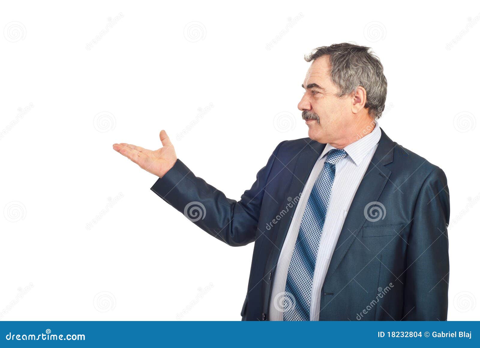 Mature Executive Man Make Presentation Royalty-Free Stock Image ...