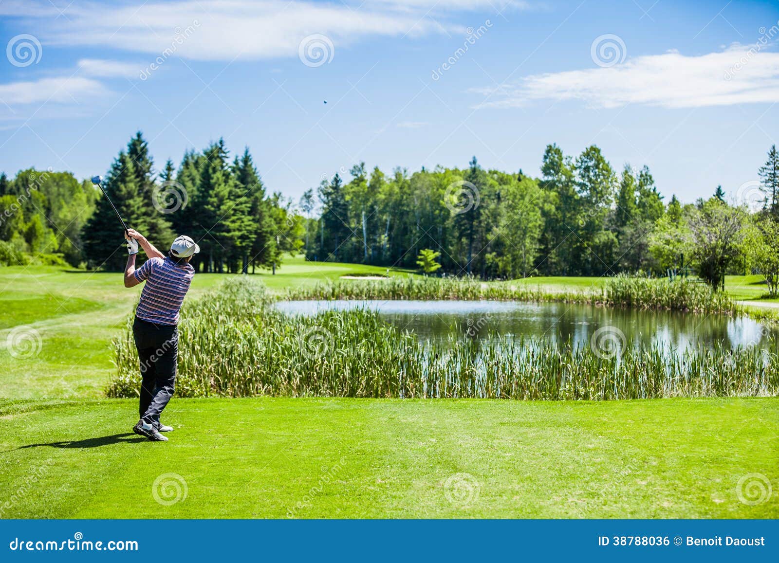 Mature Golfer on a Golf Course Stock Photo - Image of nature ...
