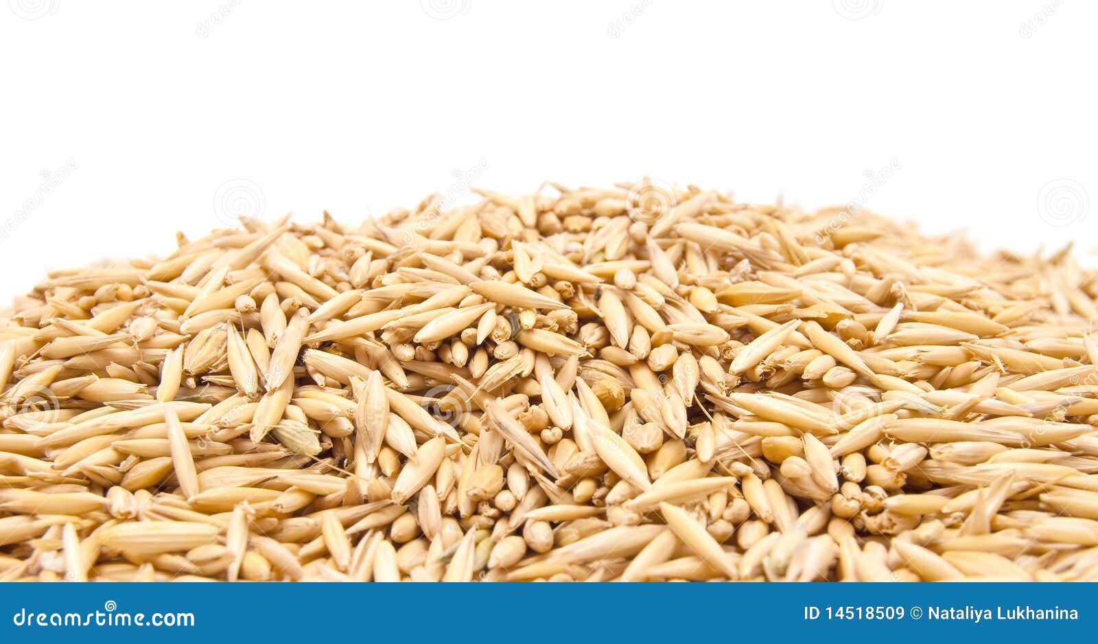 Mature Grains of Wheat in a Peel Stock Image - Image of berry, fiber ...