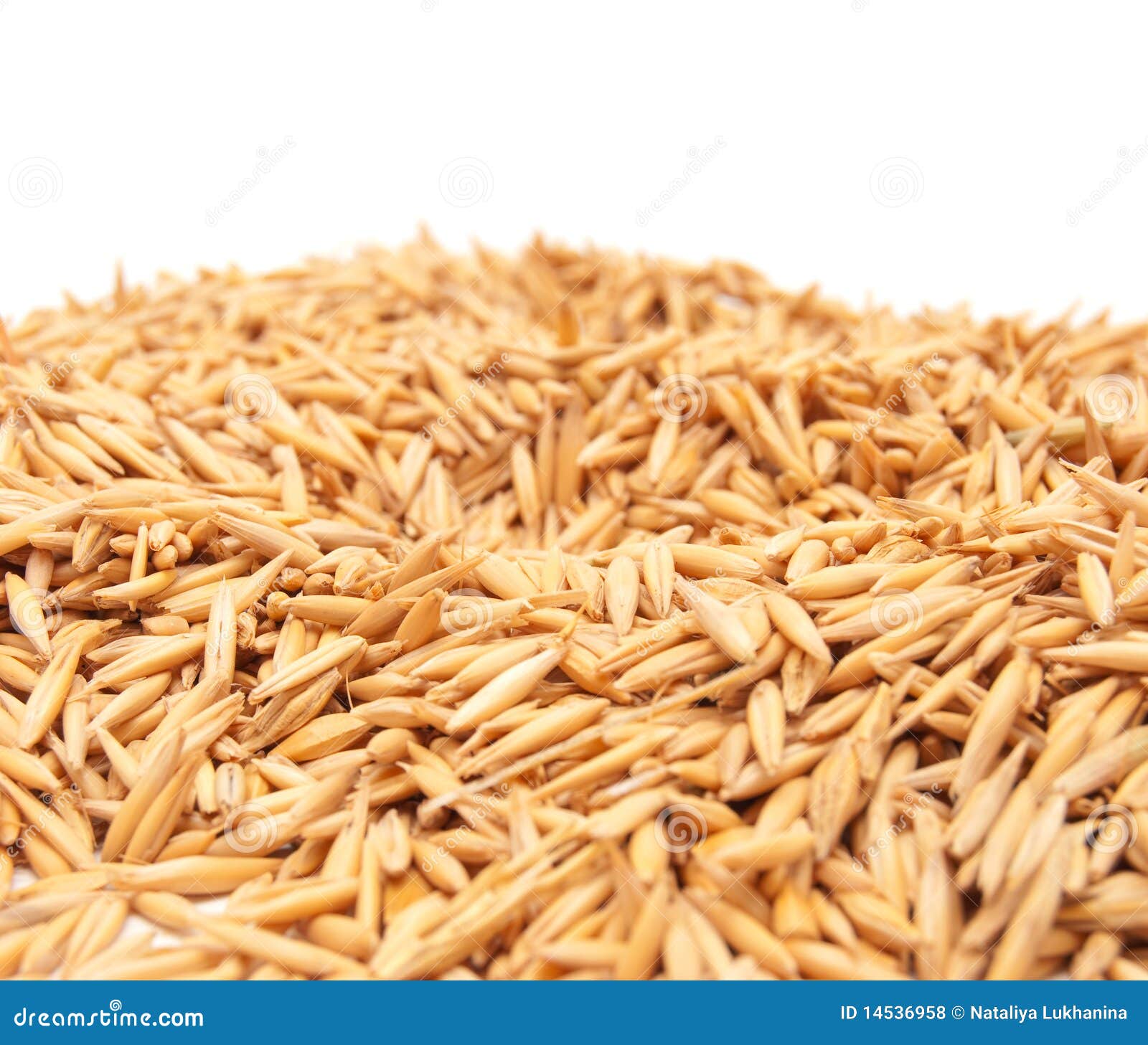 Mature Grains Of Wheat In A Peel Picture. Image: 14536958