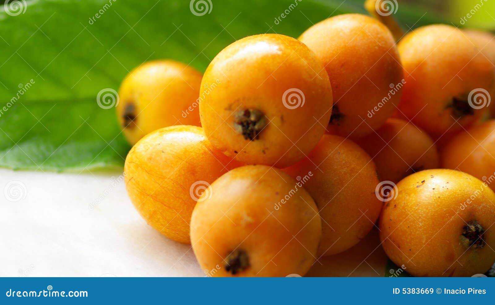 Mature Loquats. stock image. Image of macro, brown, nispero - 5383669