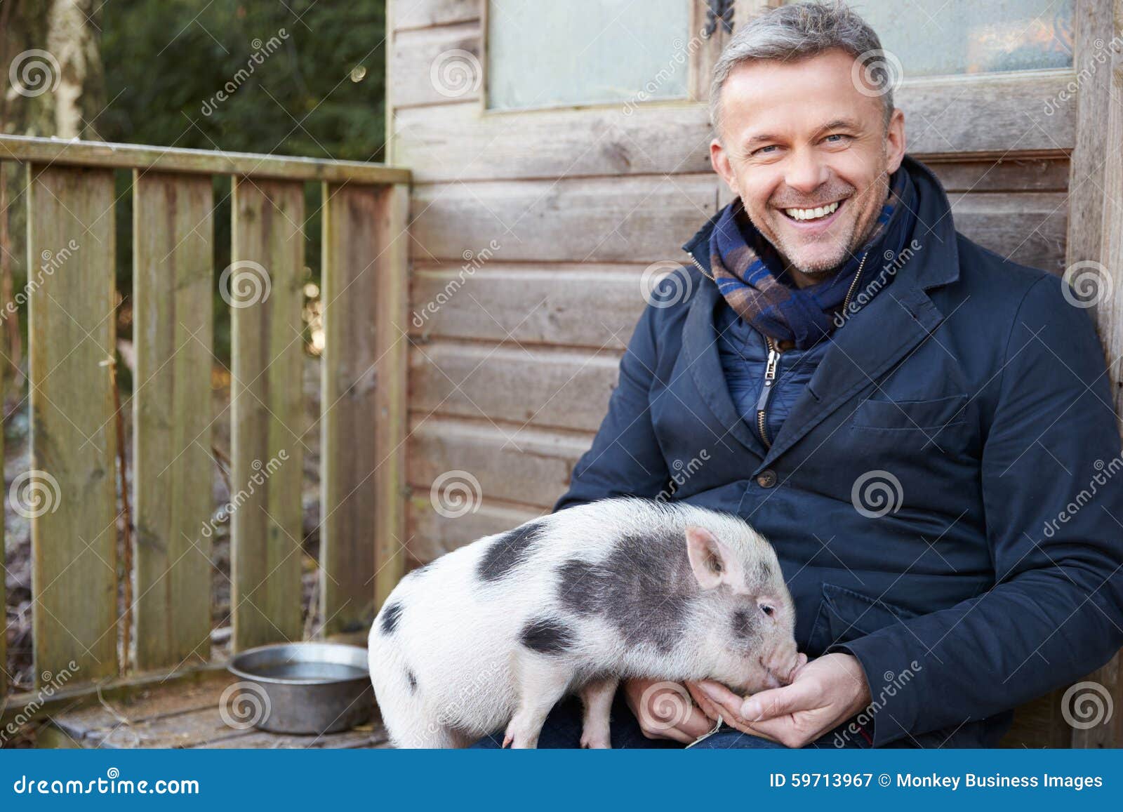 Mature Man Feeding Pet Micro Pig Stock Image - Image of middle, camera ...