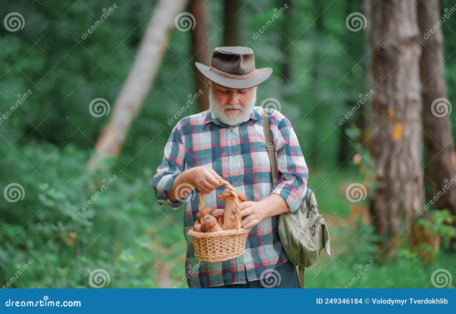 Mature Man With Mushrooms In Basket Over Forest Background Old Man
