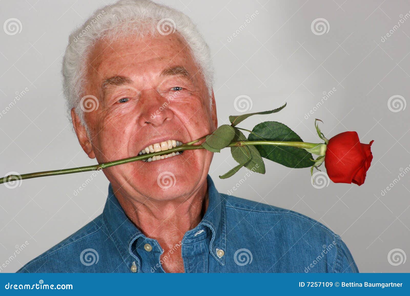 Mature man with rose stock image. Image of fragrant, maturity - 7257109