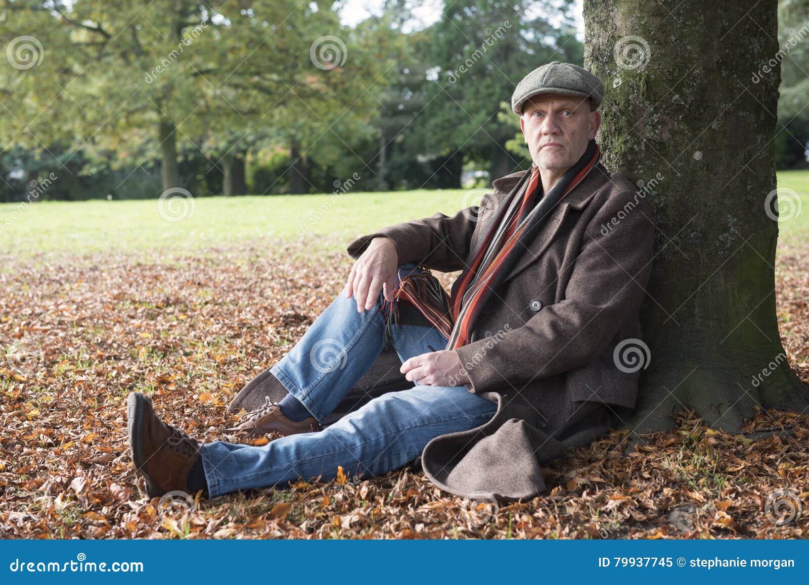 Mature Man Sitting Under a Tree in Autumn Stock Image - Image of ...