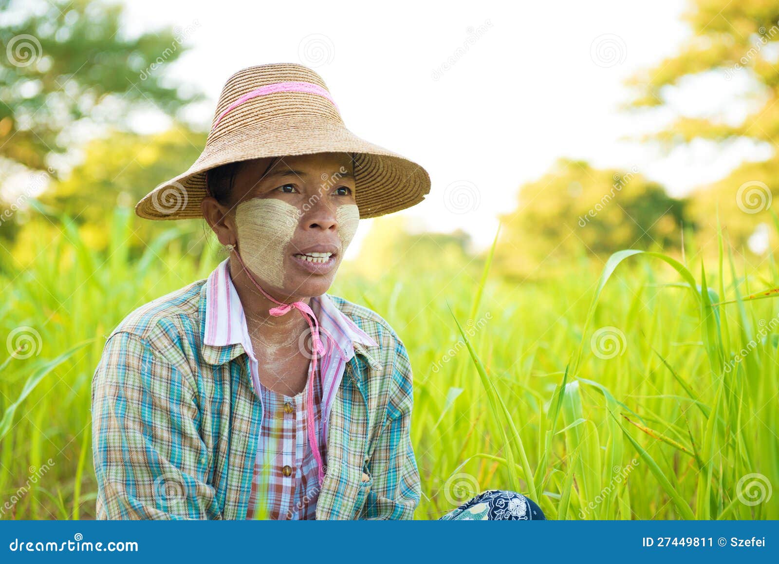 Mature Myanmar farmer stock image. Image of farmland - 27449811