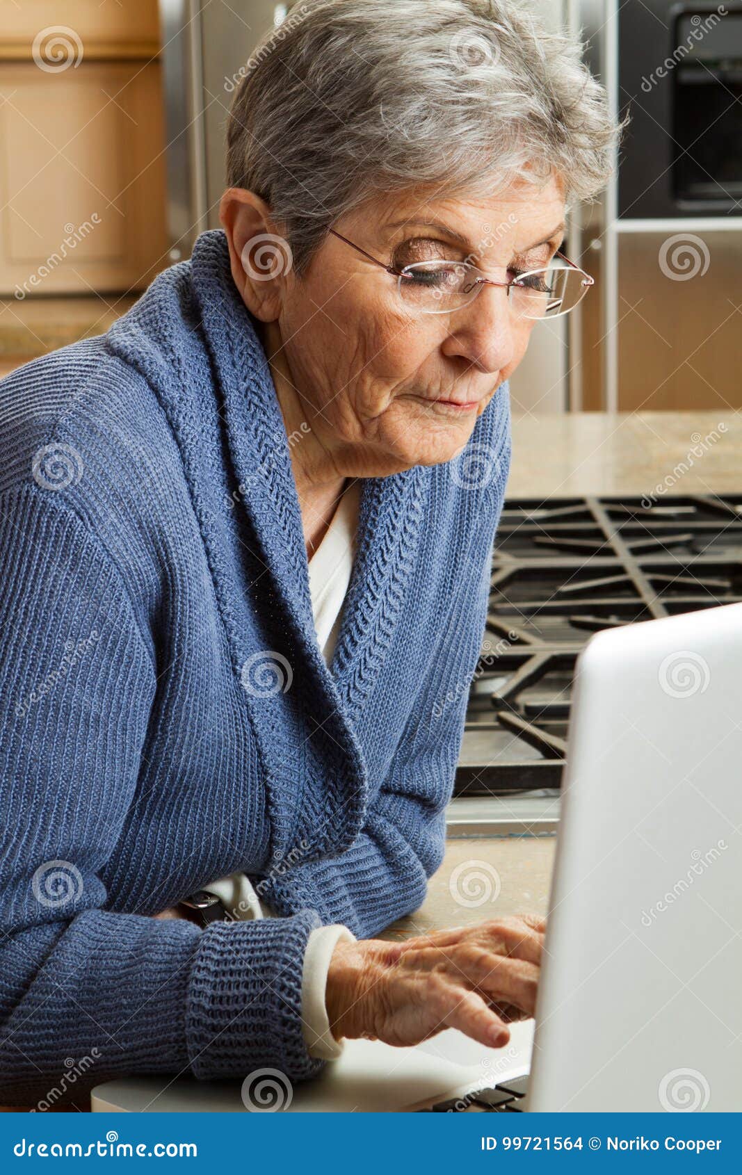 Mature Woman Working on the Computer. Stock Photo - Image of laptop ...