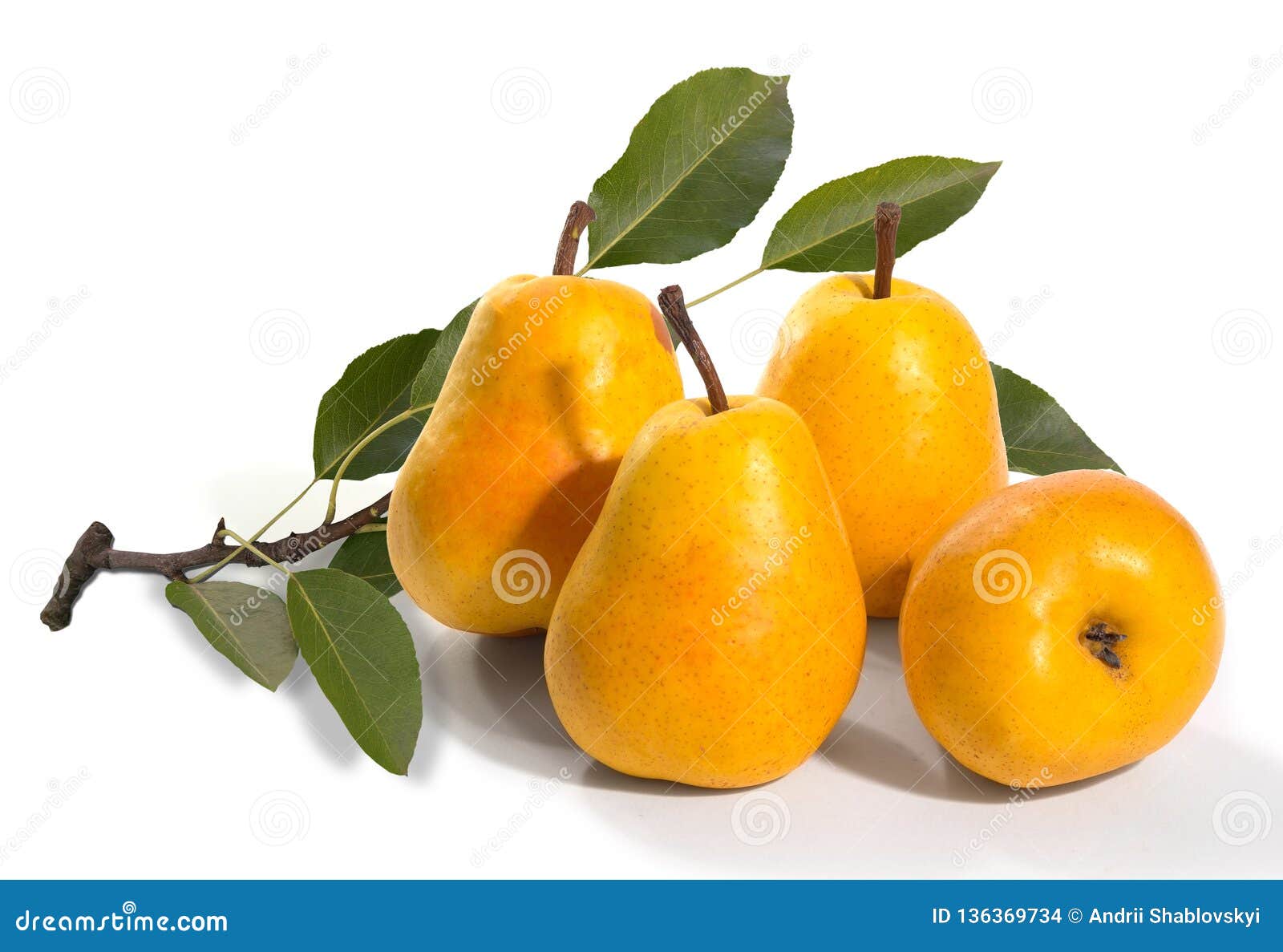 Mature Ripe Pears on a White Background Stock Photo - Image of ...