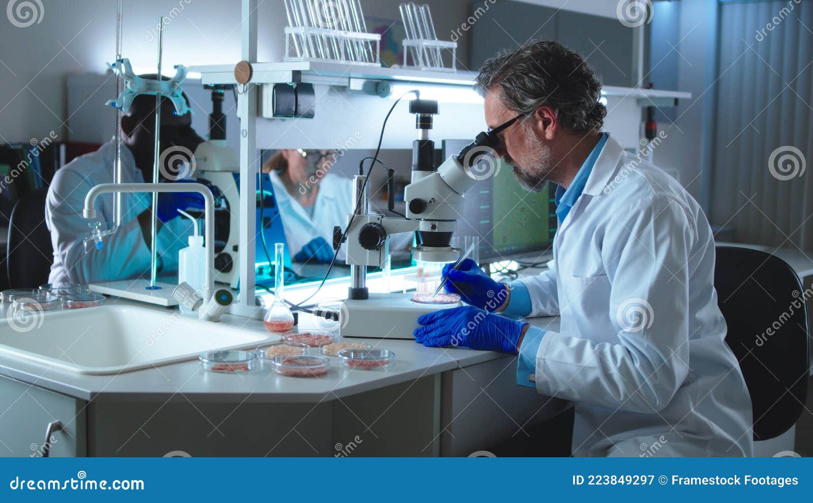 Mature Scientist Using Microscope To Examine Lab Meat Stock Image ...