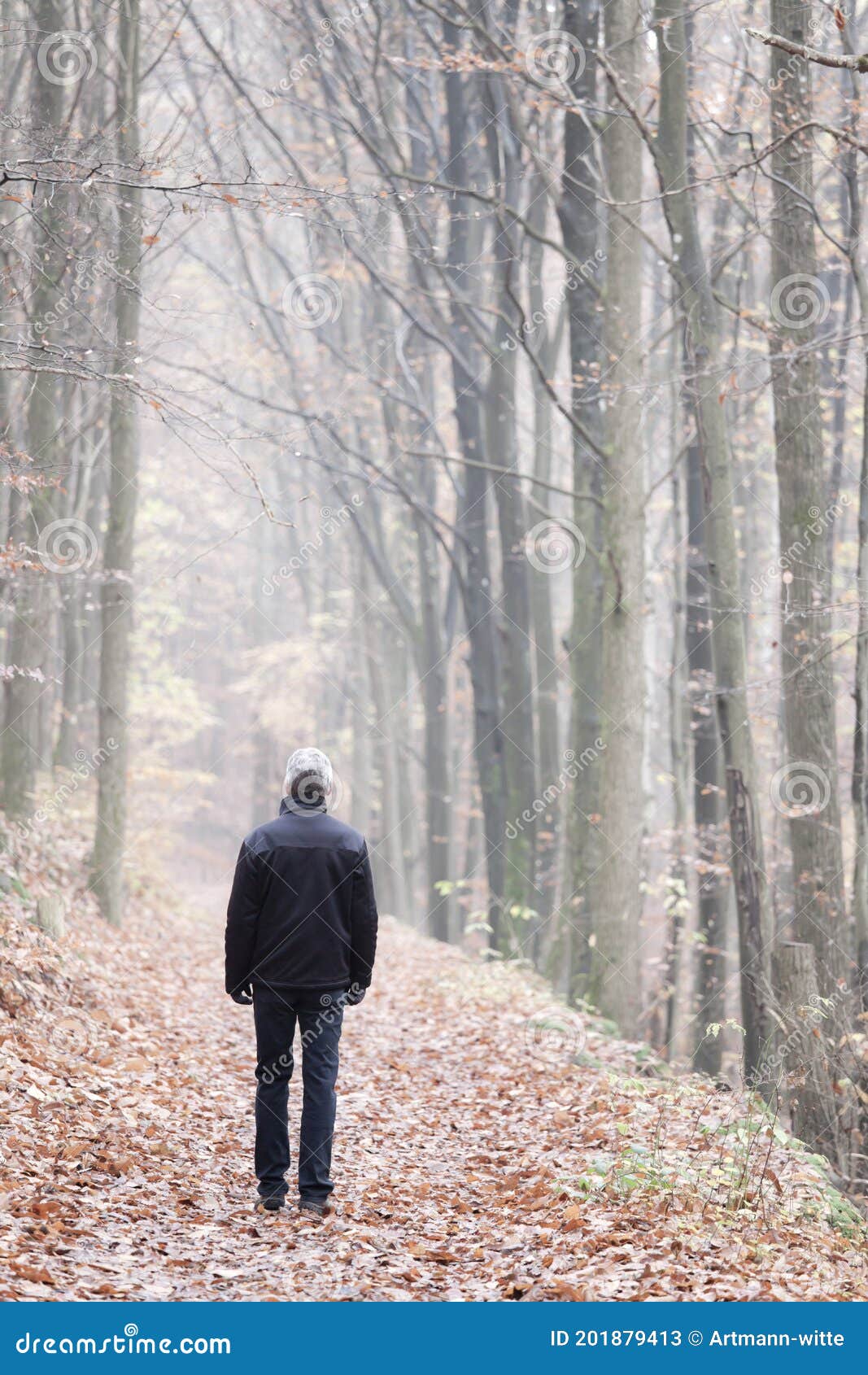 Mature or Senior Man Walking Alone in a Forest in Autumn or Winter ...