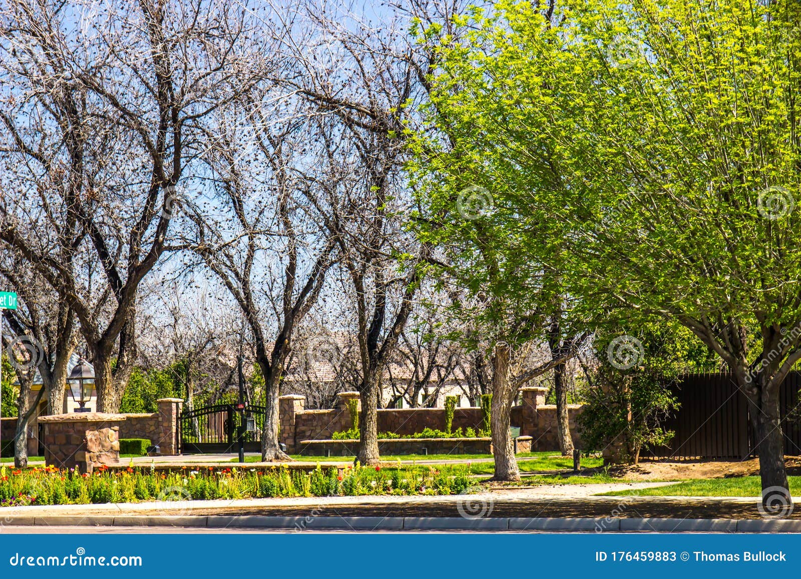 Mature Trees Surrounding Entry Gate Stock Image - Image of sidewalk ...