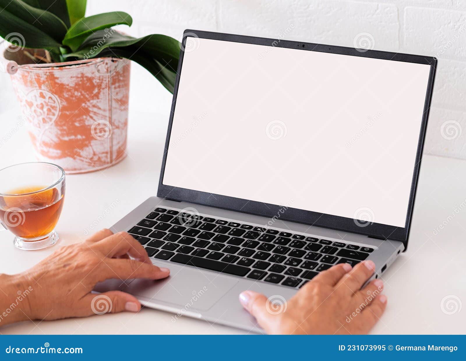 Mature Woman Typing on Keyboard Using Laptop Computer. White Desktop ...