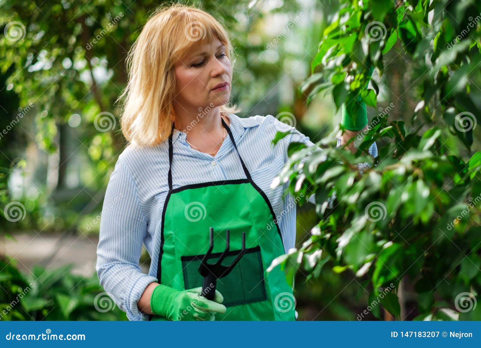 Mature Woman Working in a Botanical Garden Stock Image - Image of ...