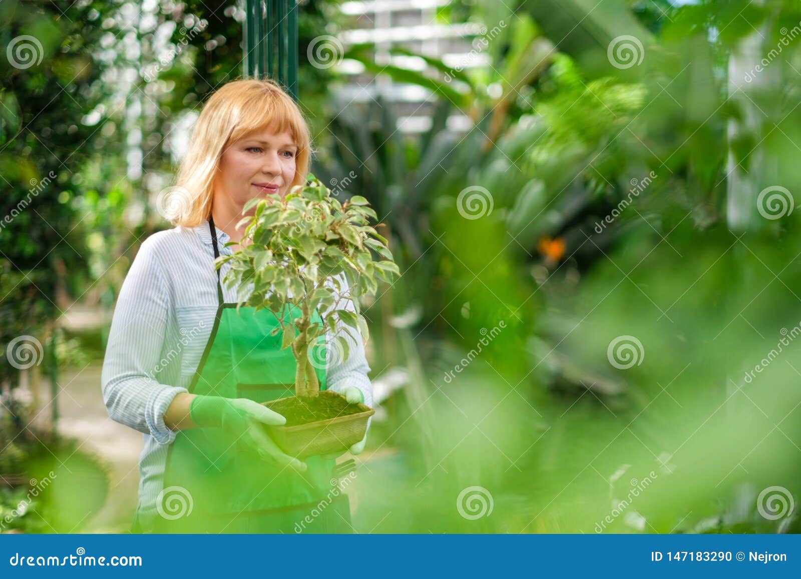 Mature Woman Working in a Botanical Garden Stock Photo - Image of ...