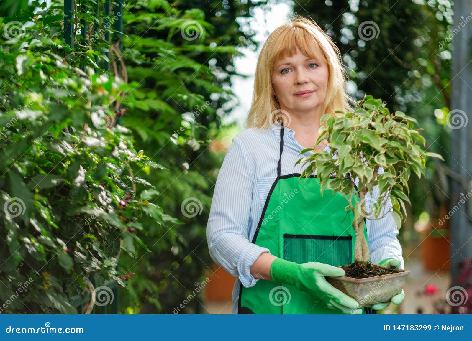 Mature Woman Working in a Botanical Garden Stock Image - Image of ...