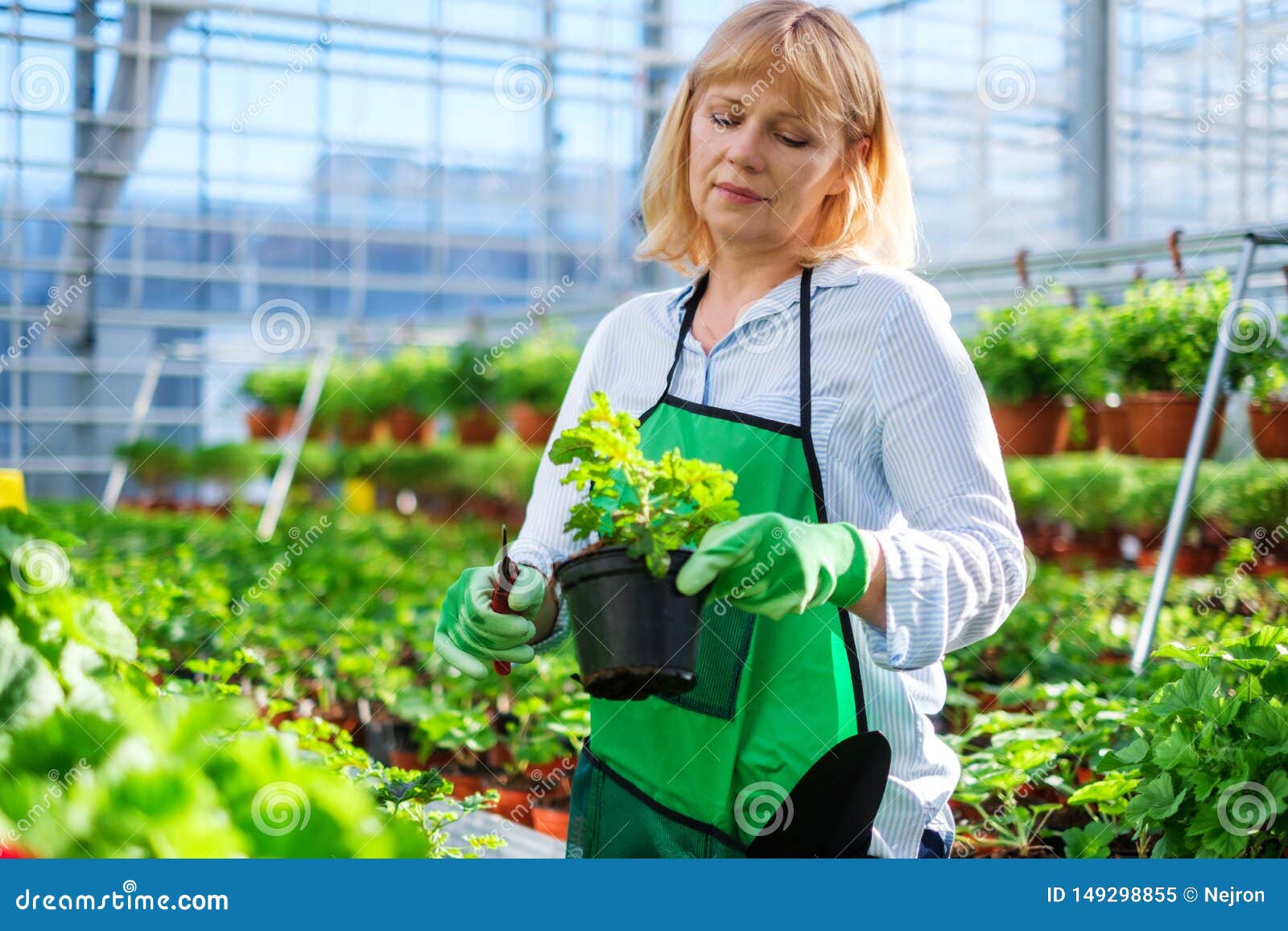 Mature Woman Working in a Botanical Garden Stock Image - Image of ...