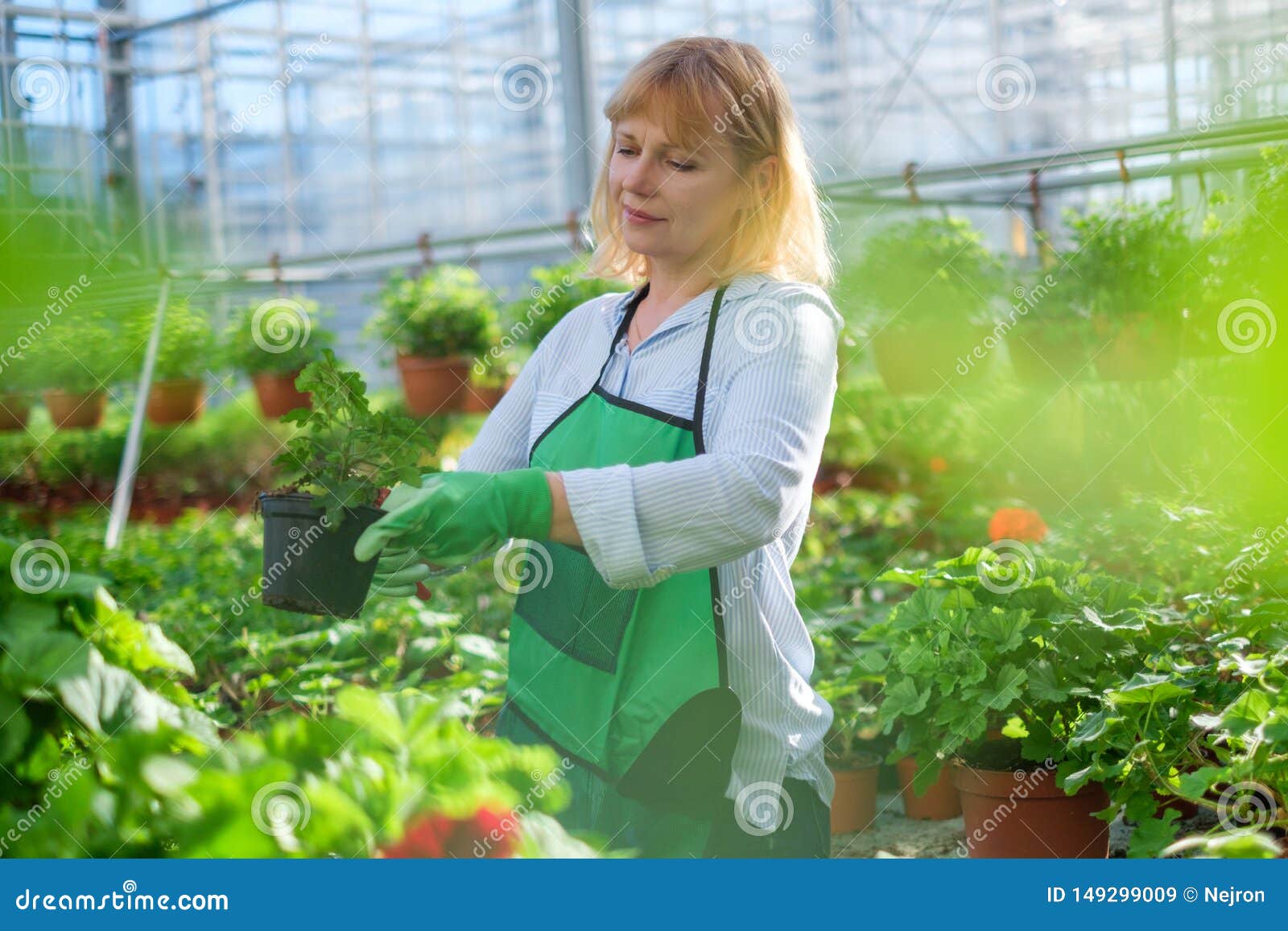 Mature Woman Working in a Botanical Garden Stock Image - Image of ...