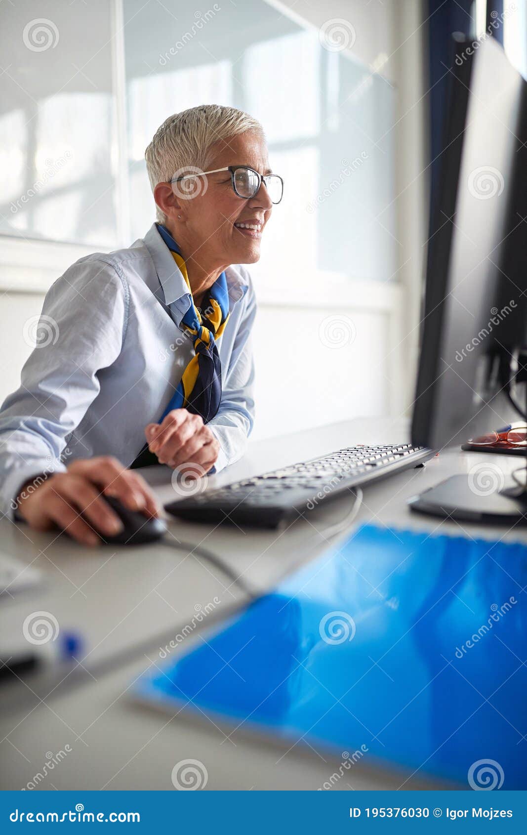 Mature Woman Working on Computer Stock Photo - Image of science, person ...