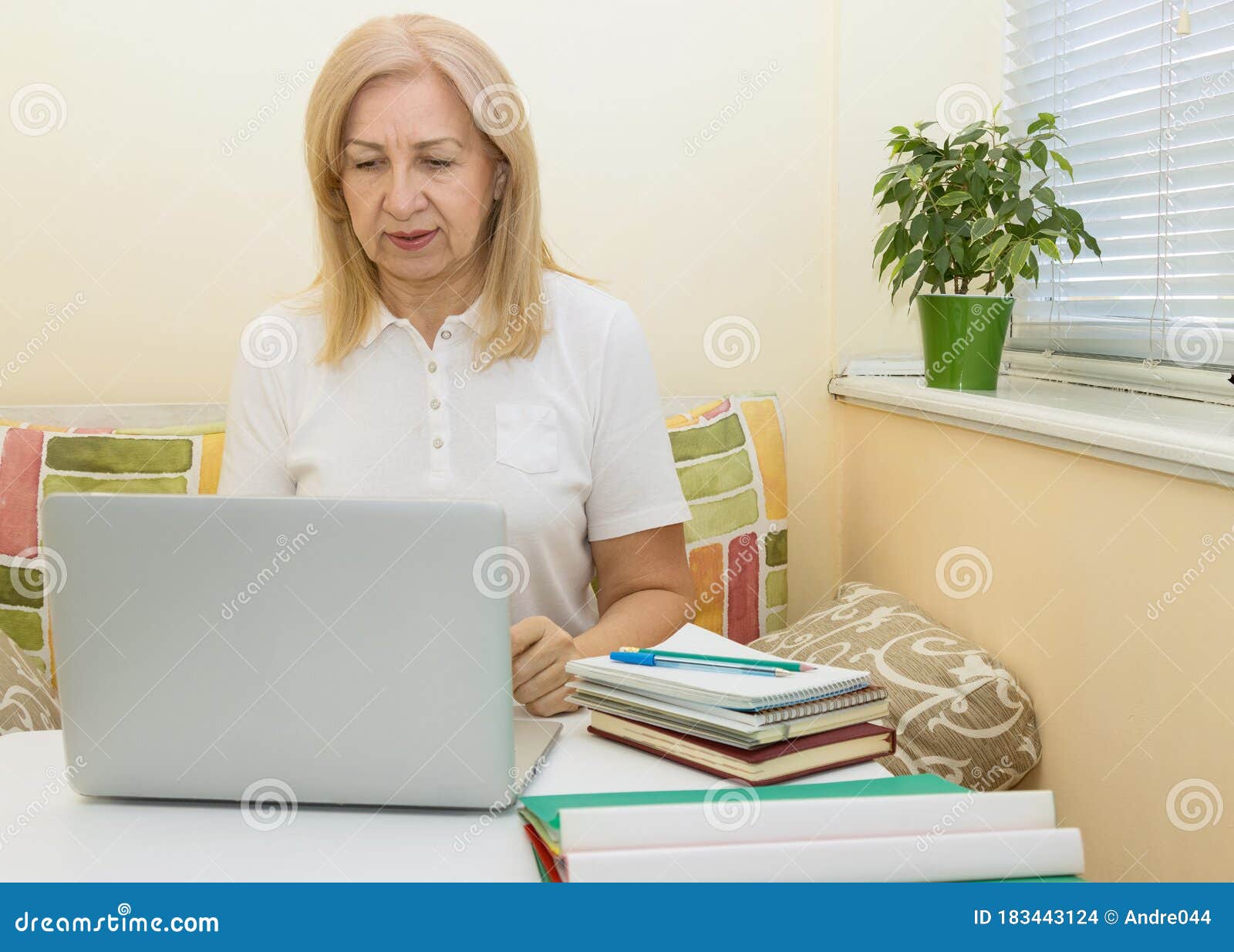 Mature Woman Working Using a Laptop Computer. Stock Photo - Image of ...
