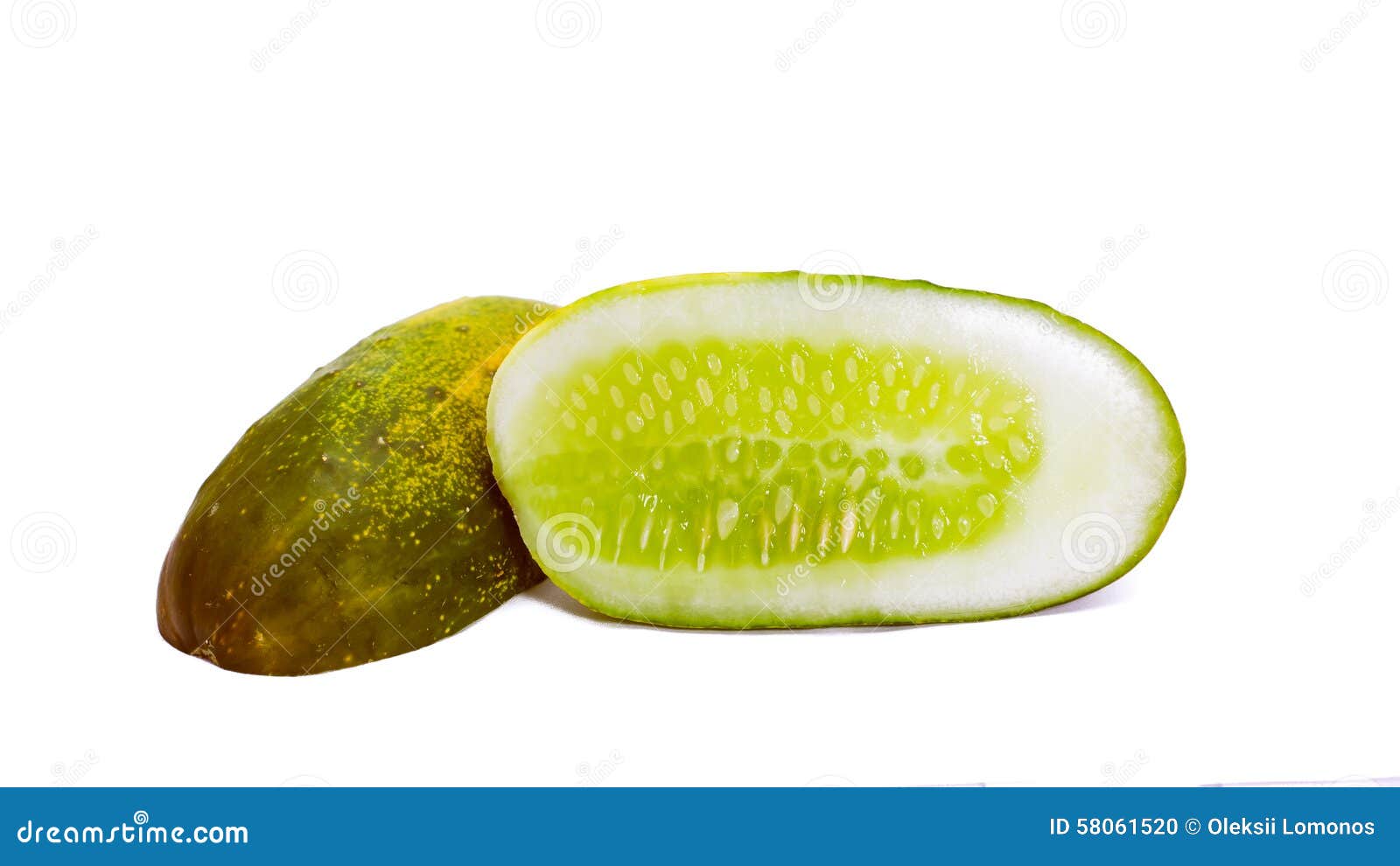 Mature And Young Giant African Snails Stock Photo | CartoonDealer.com ...