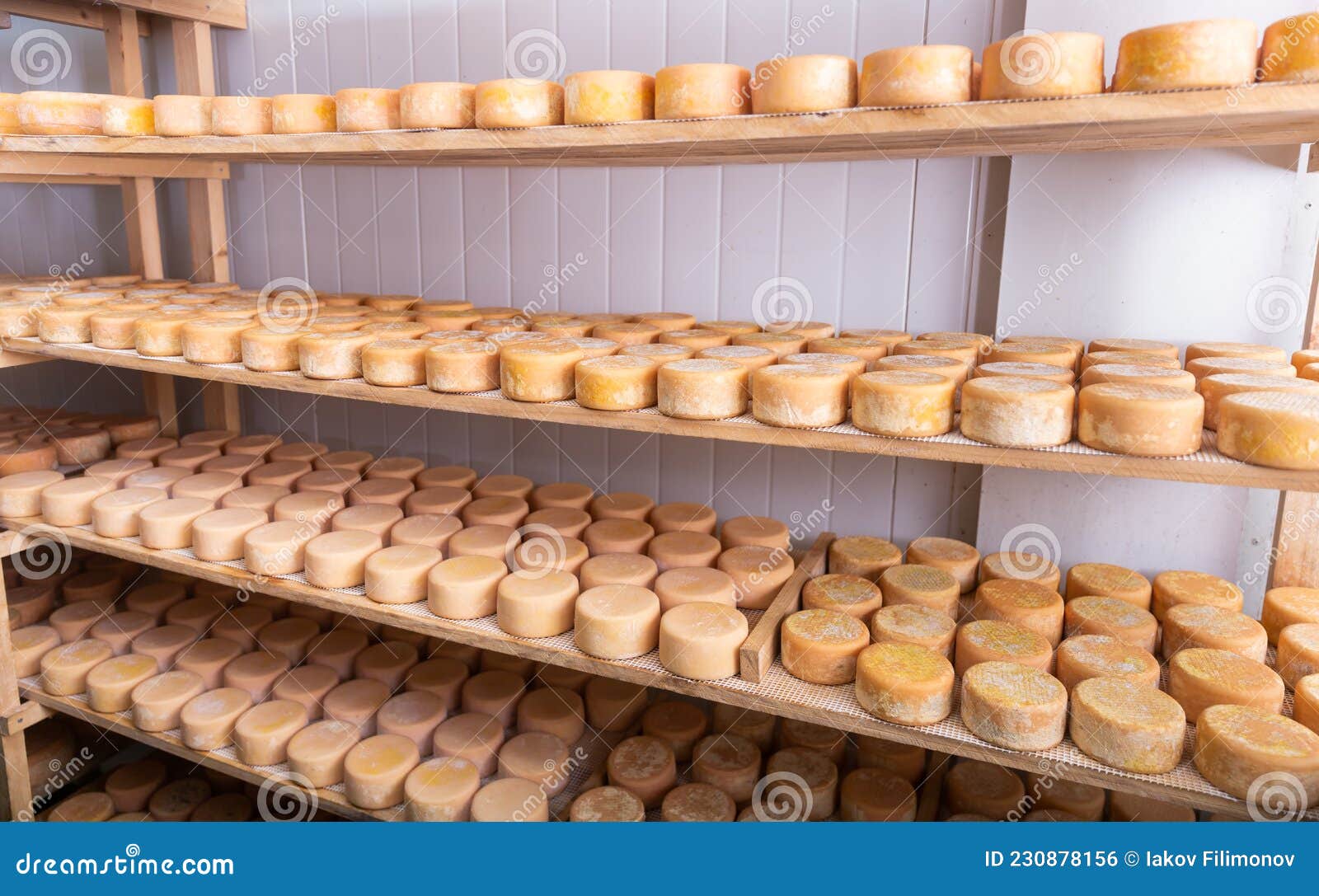 Matured Cheese Wheels on Shelves in Cheese Dairy Stock Photo - Image of ...