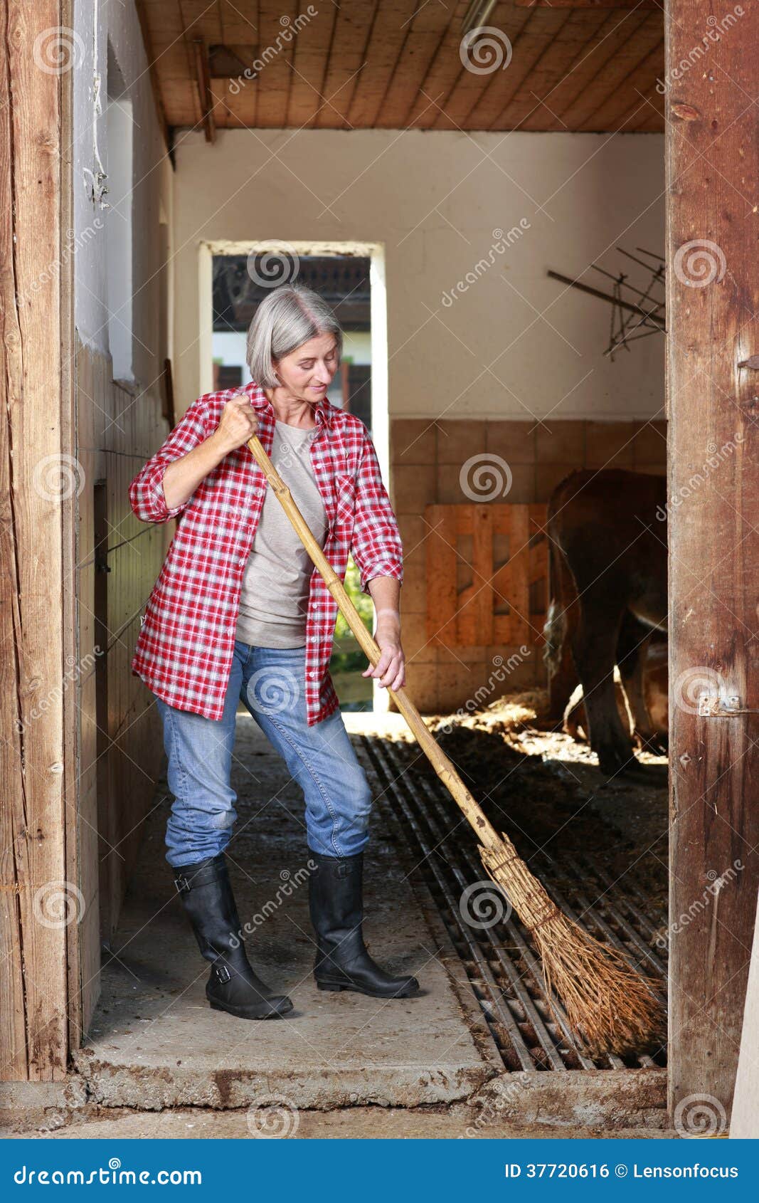 Matured Farm Woman Sweeping the Stable Stock Photo - Image of farmer ...