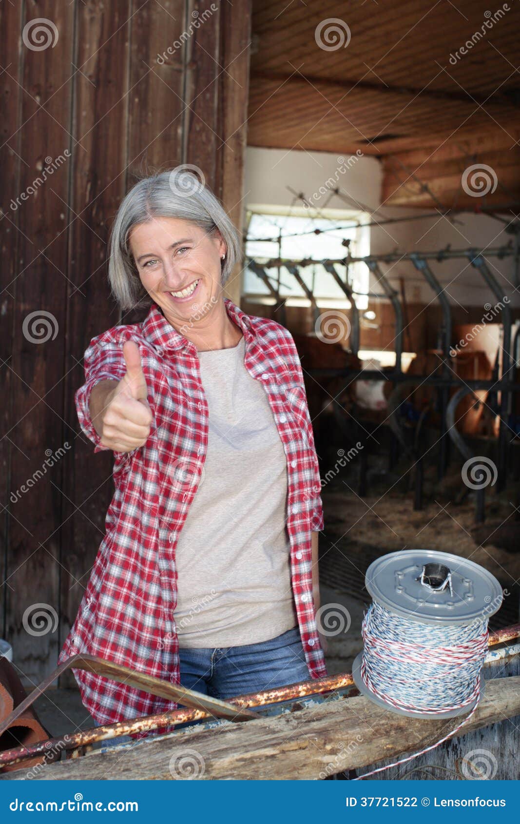 Matured farm woman at work stock photo. Image of grey - 37721522