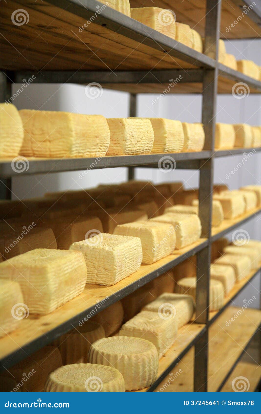 Maturing cheese storehouse stock image. Image of rack - 37245641