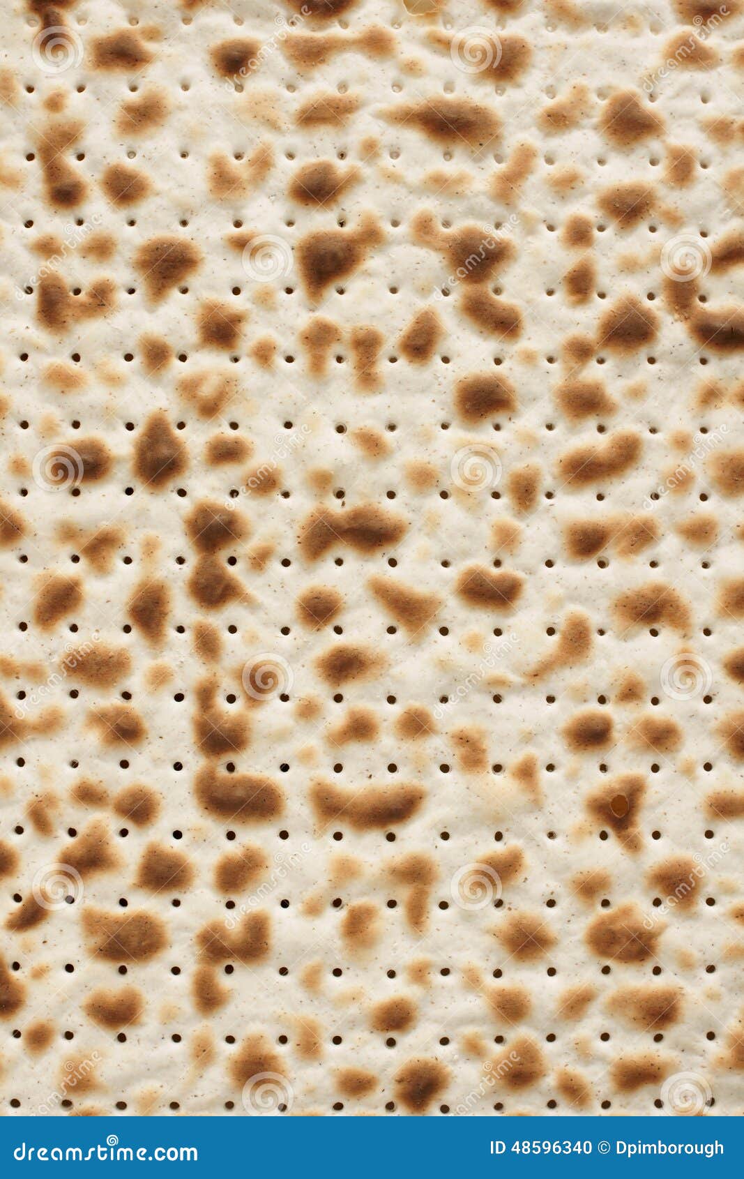 Matzah Cracker stock photo. Image of matzah, cracker - 48596340