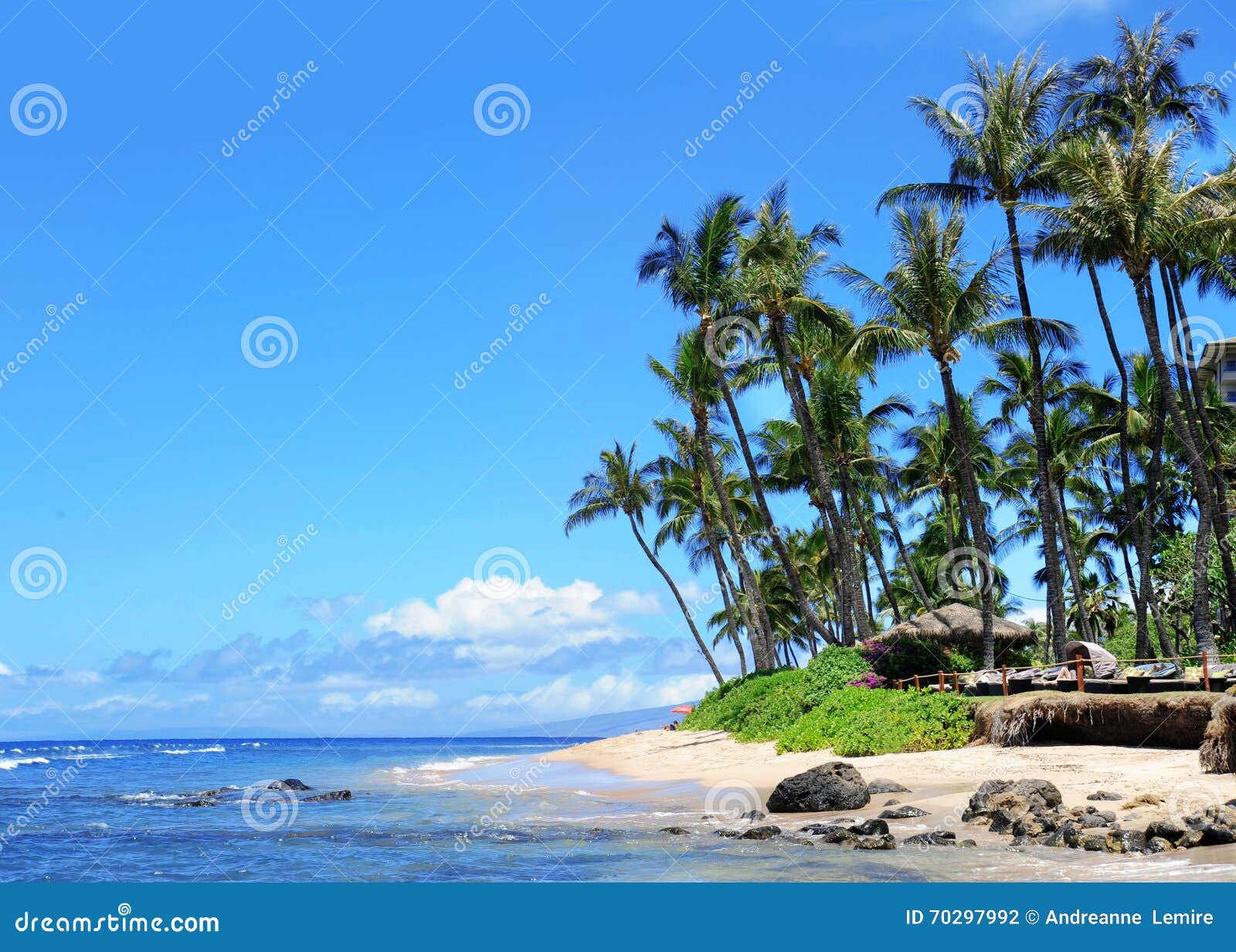 Maui beach, Hawaii stock photo. Image of aloha, travel - 70297992