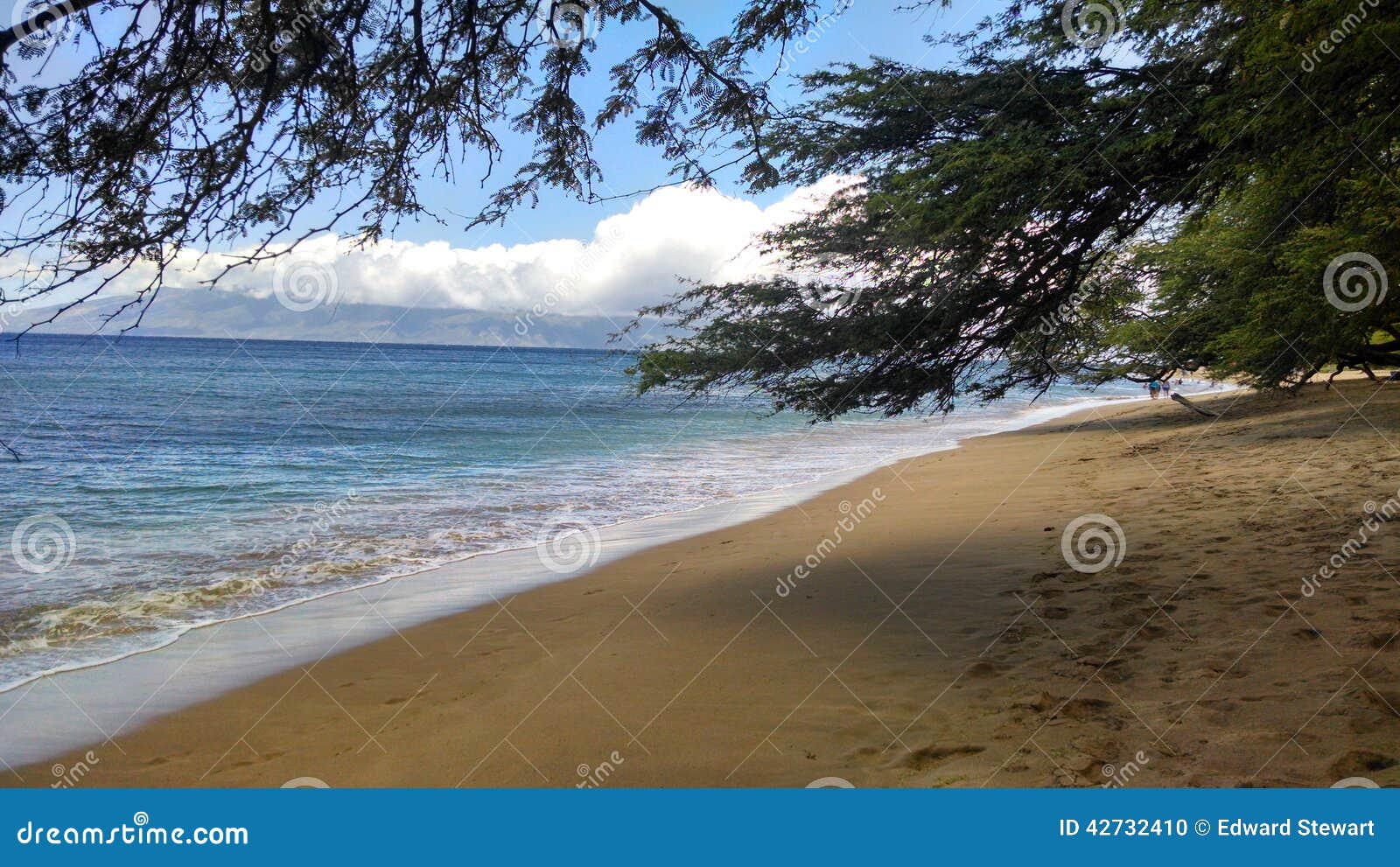 A Maui beach stock photo. Image of hawaii, maui, surf - 42732410